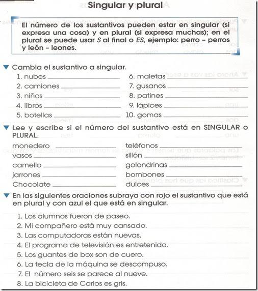 Singular y plural – ejercicio primaria